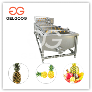 Automatic Pineapple Cleaning Washing Processing Machine Supplier