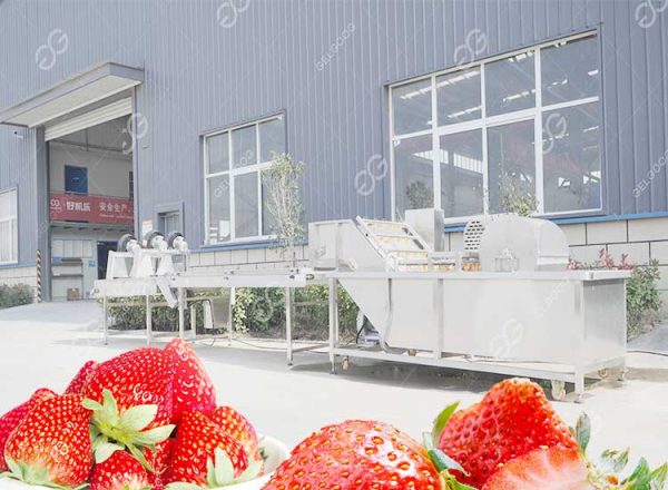 Strawberry Washing Machine System Manufacture