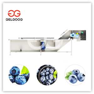 Industrial Blueberry Washing Machine Line Supplier
