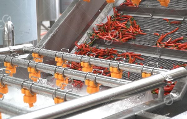 Automatic Pepper Chilli Washing Machine