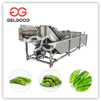 Automatic Pepper Chilli Washing Machine
