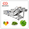Automatic Pepper Chilli Washing Machine