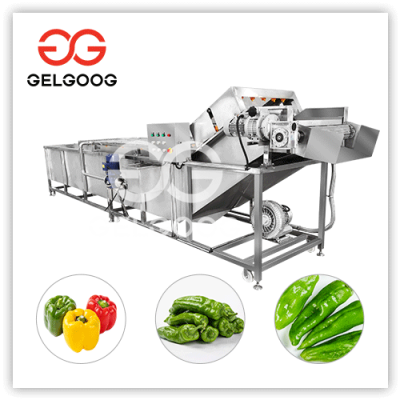 Automatic Pepper Chilli Washing Machine