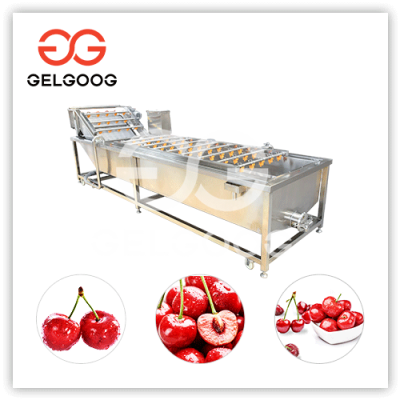Automatic Pepper Chilli Washing Machine For Cleaning Dry Chilli Red Peppers