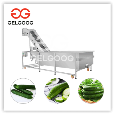 Industrial Cucumber Washing Processing Machine