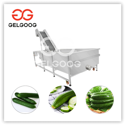 Automatic Pepper Chilli Washing Machine