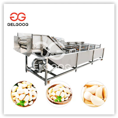 Commercial Peeled Garlic Clove Washing Processing Machine