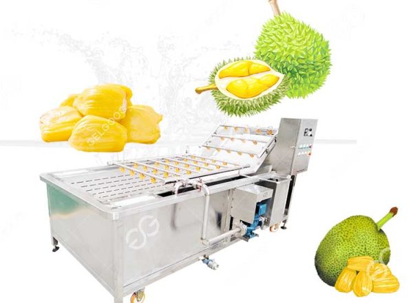 Industry Jackfruit Washing Processing Machine