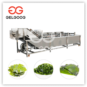 Stainless Steel Kelp Seaweed Washing Machine