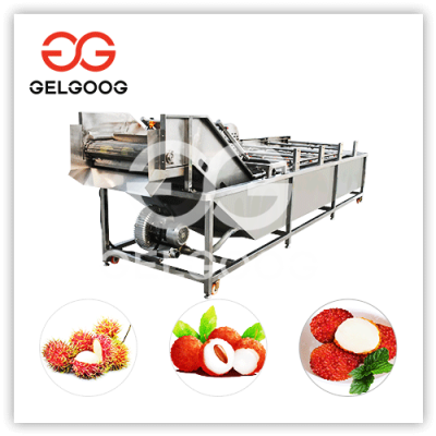 Industrial Lychee Rambutan Longan Washing Processing Machine
