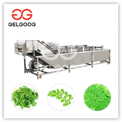 Moringa Leaf Washing Cleaning Machine