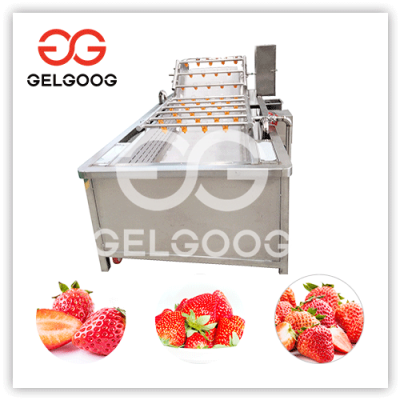 Strawberry Washing Machine System Manufacture