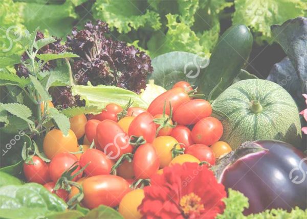 How Do You Clean Vegetables From Pesticides And Bacterial Residue In ...