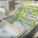Leafy Vegetable Washing And Drying Processing Line