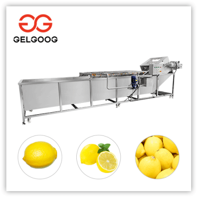 Industrial Lemon Fruit Washing Machine For Sale