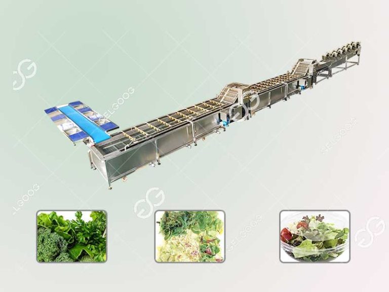 What Is Needed For The Leafy Vegetables Processing Equipment?