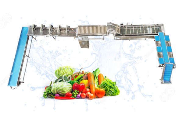 How Should Small And Medium Vegetable Processing Plants Wash Vegetables