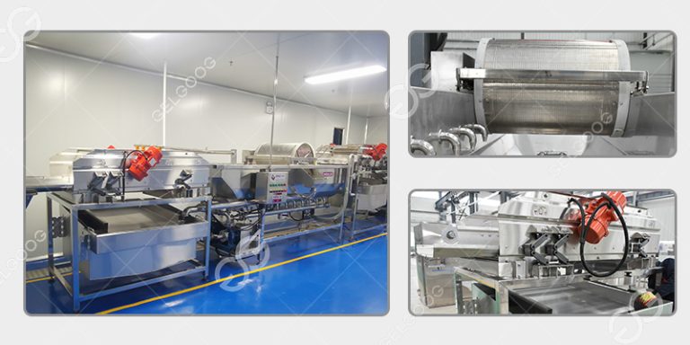 Fresh-Cut Vegetable Salad Processing Plant