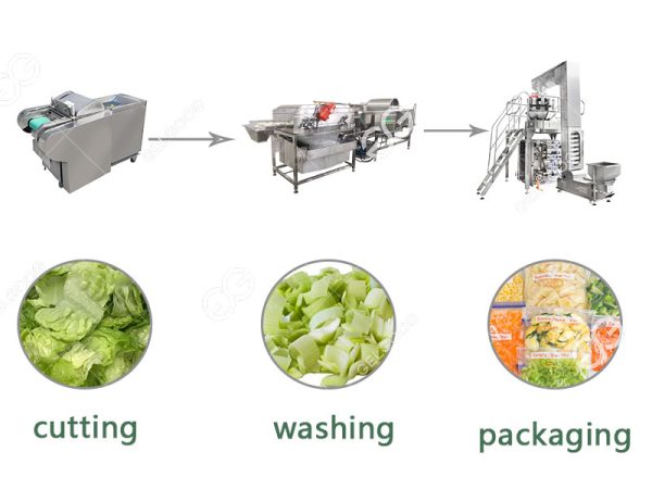 What Equipment Is Needed To Process Fresh Cut Vegetables?