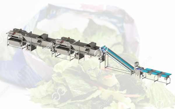 What Is Fresh-Cut Vegetable Processing In Vegetable Processing Unit