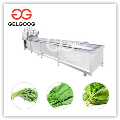Water Spinach Washing Cleaning Machine For Sale
