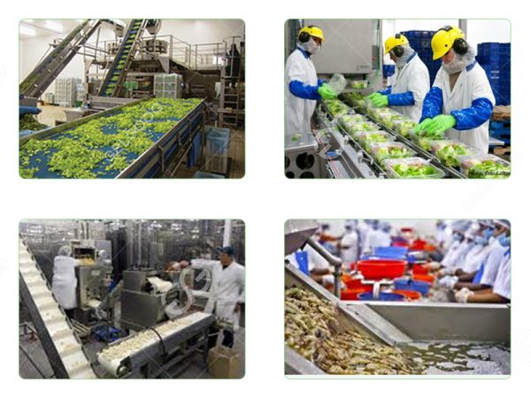 What Are The Objectives Of Fruit And Vegetable Processing In Vegetable ...