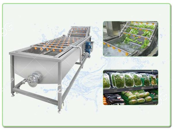 How Is the Proper Way of Washing Green Leafy Vegetables in Farm?