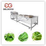 Water Spinach Washing Cleaning Machine Commercial For Sale
