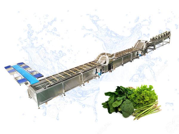 What Is The Proper Way Of Washing The Vegetables For Large Batches Of ...