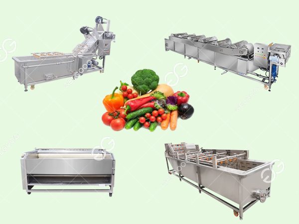 What Is Primary Vegetable Processing In Plant?