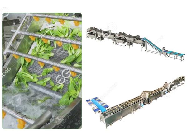 What Technology Is The Importance Of Vegetable Processing?