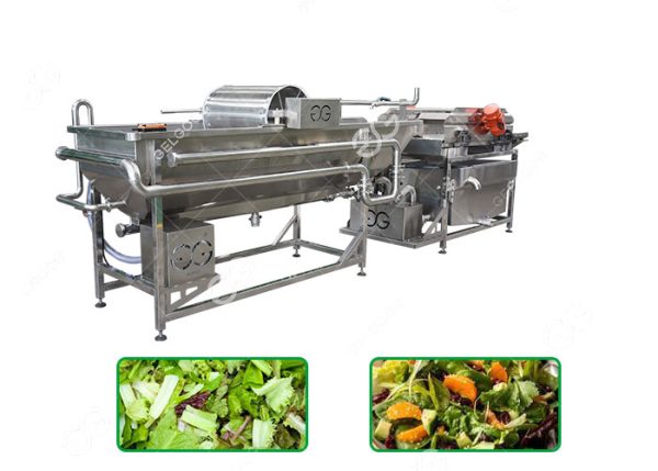 Customized Salad Vegetable Washing Machine