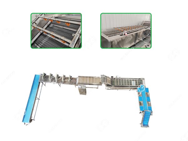 How To Process Leafy Vegetable Use Vegetable Procesasing Line?