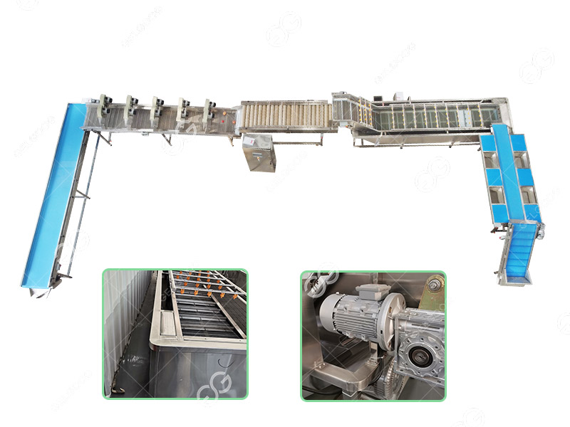 How To Use The Fruit And Vegetable Processing Line?
