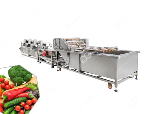 What Equipment Is Included In The Leaf Vegetable Processing Lines?