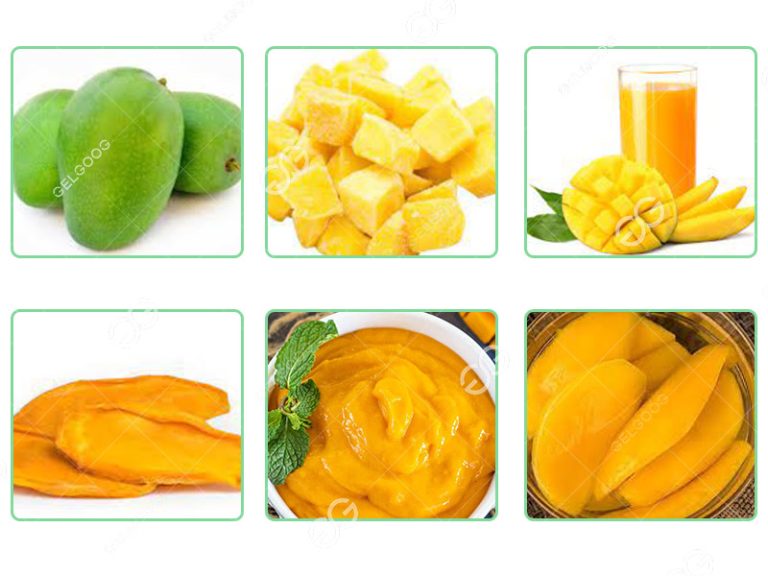 How Are Mangoes Processed In Mango Processing Plant?