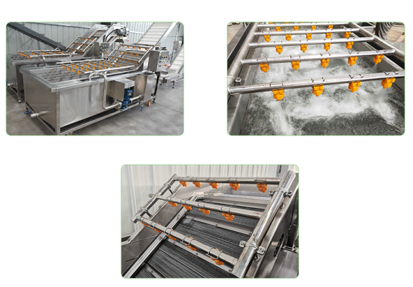 300-5000kg/H Mangosteen Washing Cleaning Machine Factory Customization