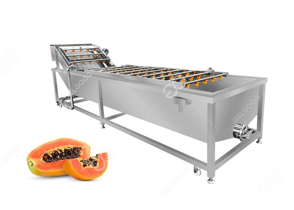 Bubble Type Papaya Washing Machine Manufacturer