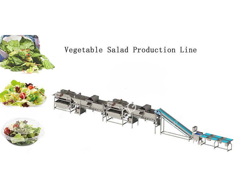 What Equipment Do You Need To Start A Salad Processing Plant?