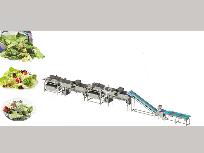 What Are The Uses Of Industrial Salad Washing Processing Equipment?