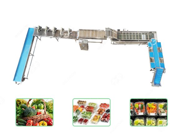 Is Vegetable Processing Business Profitable?