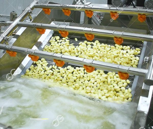 Customization Garlic Peeling Production Line Plant Manufacturer