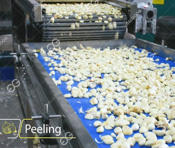 Customization Garlic Peeling Production Line Plant Manufacturer