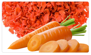 Carrot Processing Technology In Carrot Processing Plant