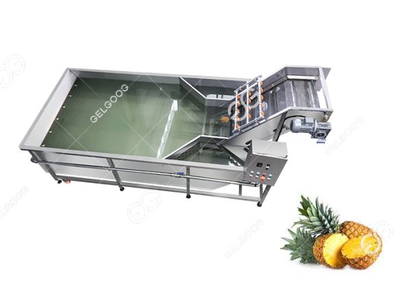 Pineapple Washing Equipment Exported To Mexico