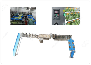 What Is Fruit And Vegetable Processing Industry?