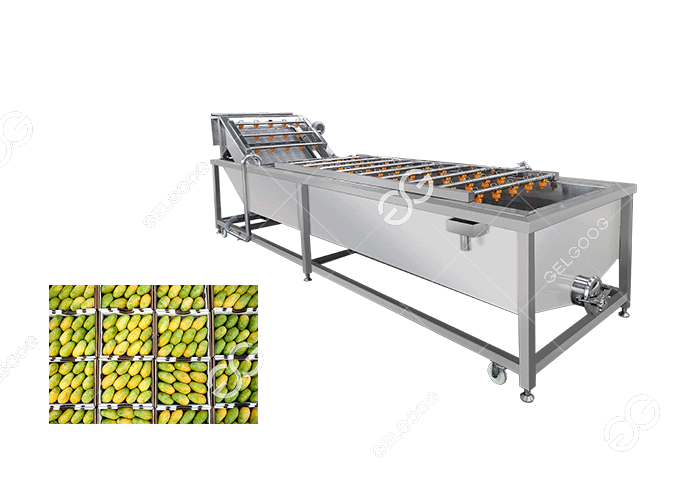 How Much Mango Washing Machine Cost? - Turnkey Vegetable Washing ...