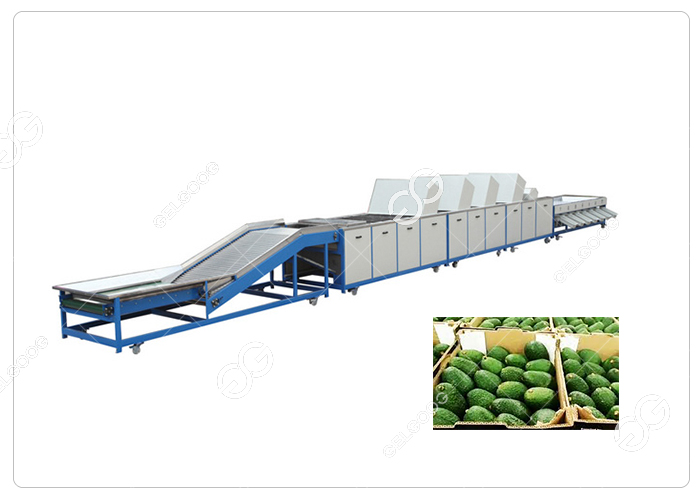 What Does A Fruit Avocado Sorting Machine Do?