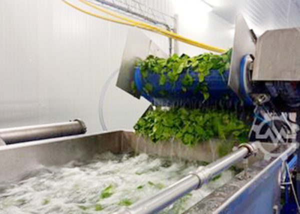 Importance Of Processing Of Fruits And Vegetables