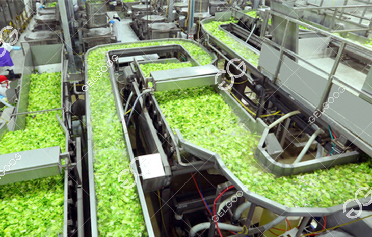 What Is The Most Practical Way Of Processing Fruits And Vegetables?